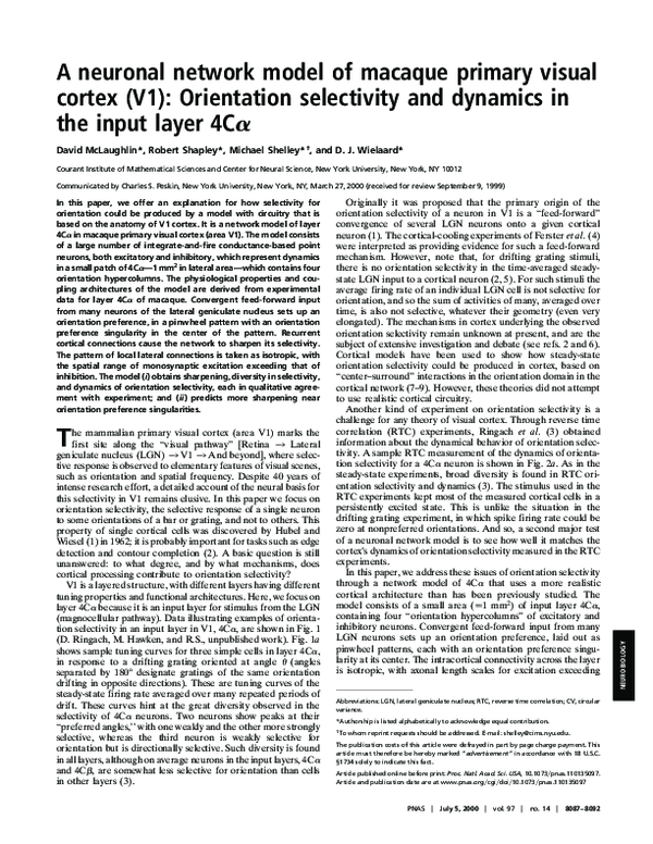 Pdf A Neuronal Network Model Of Macaque Primary Visual Cortex V1