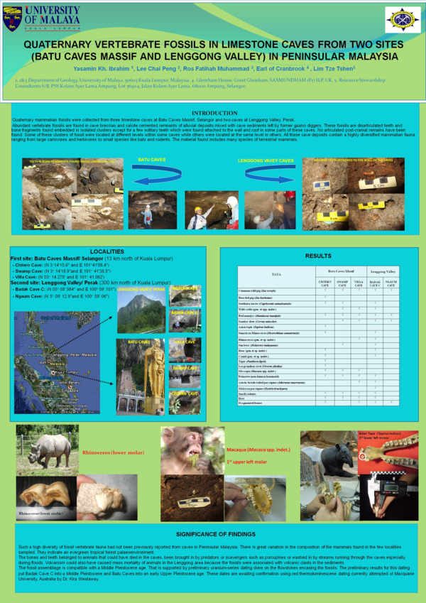 (PDF) Quaternary Vertebrate Fossils in Limestone Caves from Two Sites ...