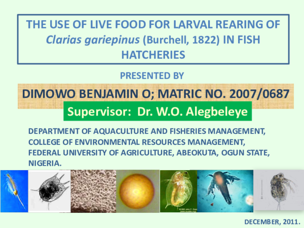 (PPT) PRESENTATION ON THE USE OF LIVE FOOD FOR LARVAL REARING OF ...