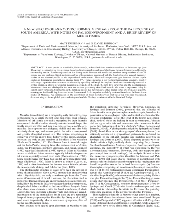 (PDF) A new species of Mene (Perciformes: Menidae) from the Paleocene ...