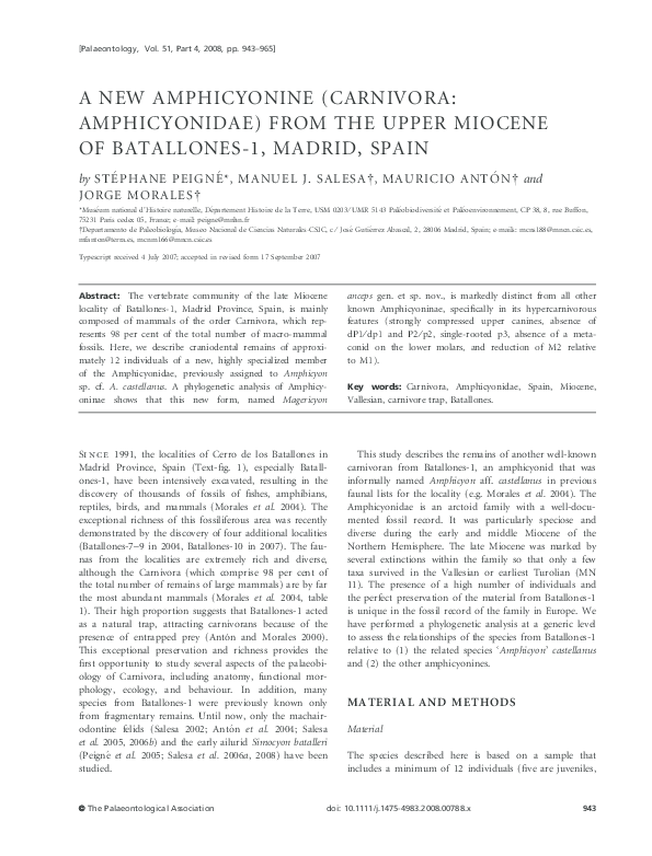 A NEW AMPHICYONINE (CARNIVORA: AMPHICYONIDAE) FROM THE UPPER MIOCENE OF ...