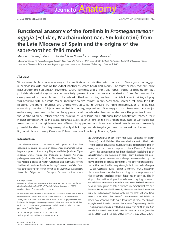 Functional anatomy of the forelimb in Promegantereon * ogygia (Felidae ...
