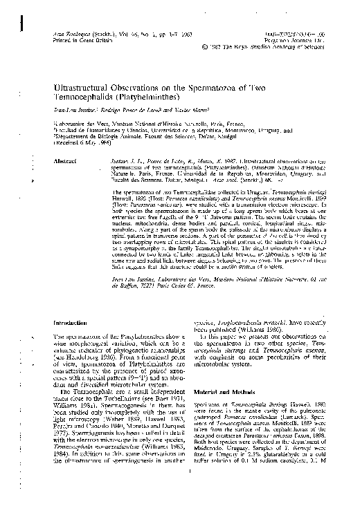 (PDF) Ultrastructural observations on the spermatozoa of two ...