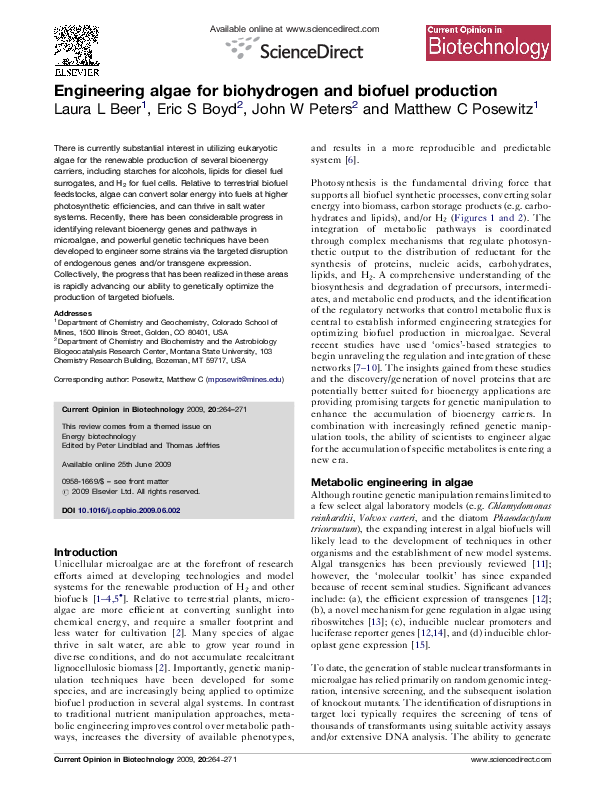 (PDF) Engineering algae for biohydrogen and biofuel production