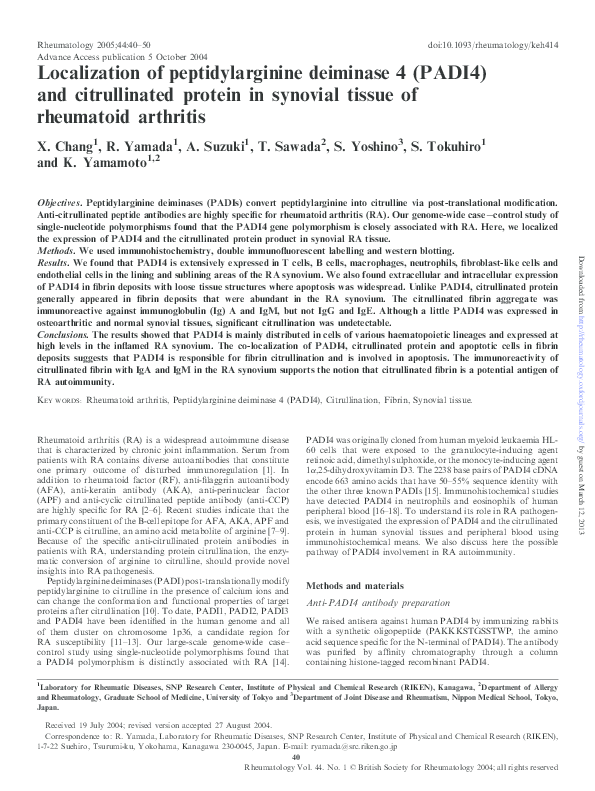 (PDF) Localization of peptidylarginine deiminase 4 (PADI4) and citrullinated protein in synovial ...