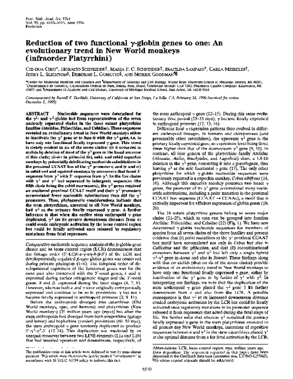 (PDF) Reduction of two functional gamma-globin genes to one: an ...