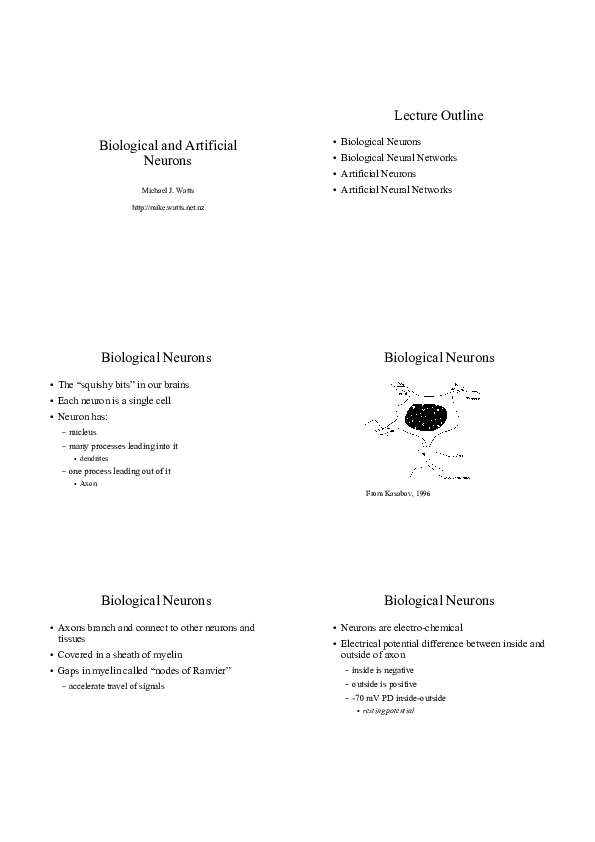 (PDF) Biological Neurons
