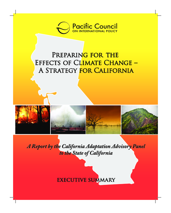 (PDF) PCIP Adaptation Report Executive Summary Final