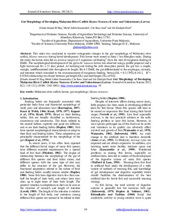 (PDF) Gut Morphology of Developing Malaysian River Catfish Mystus ...