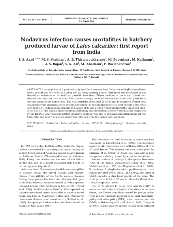 (PDF) Nodavirus infection causes mortalities in hatchery produced ...