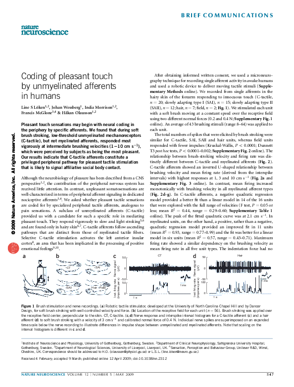 (PDF) Coding of pleasant touch by unmyelinated afferents in humans