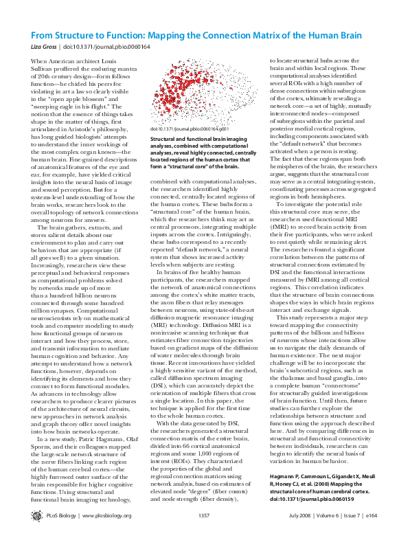 (PDF) From structure to function: Mapping the connection matrix of the ...