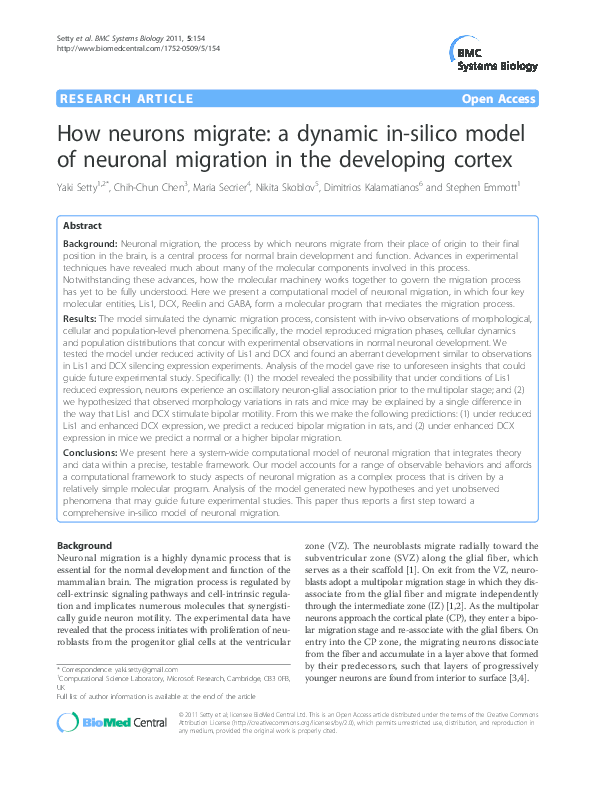 (PDF) How neurons migrate: a dynamic in-silico model of neuron ...