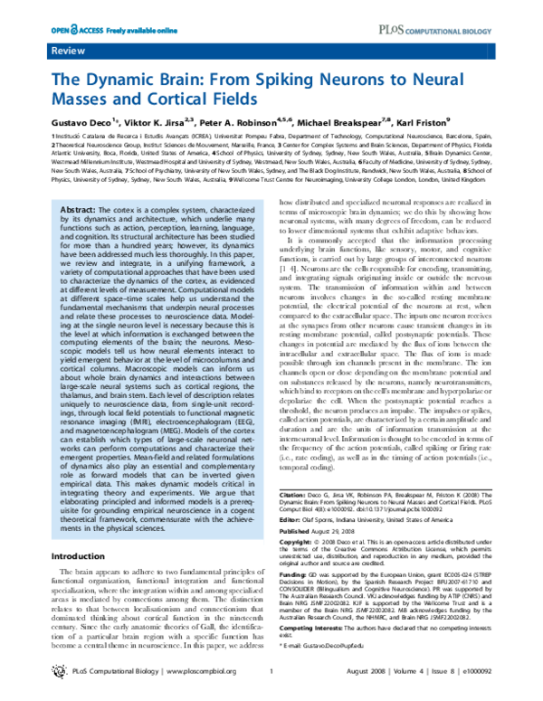 (PDF) The dynamic brain: from spiking neurons to neural masses and ...