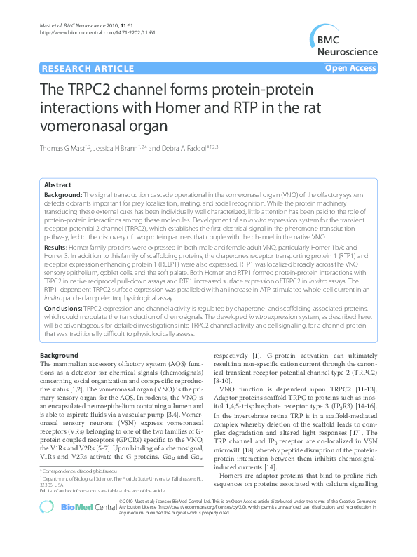 (PDF) The TRPC2 channel forms protein-protein interactions with Homer ...