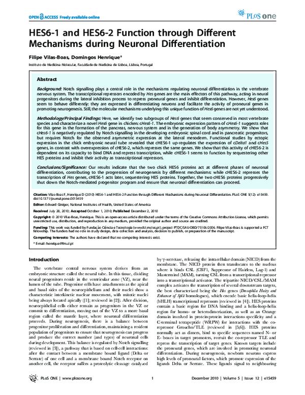 (PDF) HES6-1 and HES6-2 Function through Different Mechanisms during ...