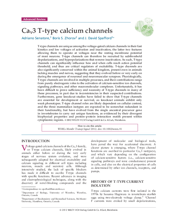 (PDF) Cav3 T-type calcium channels
