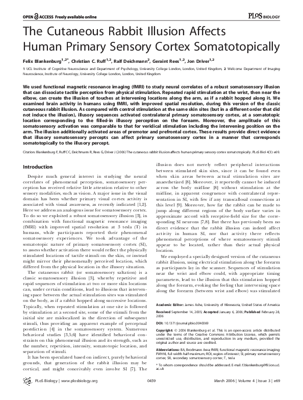 (PDF) The cutaneous rabbit illusion affects human primary sensory ...