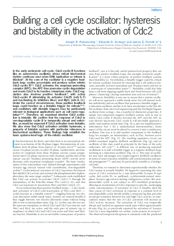 (PDF) Building a cell cycle oscillator: hysteresis and bistability in the activation of Cdc2