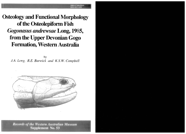 (PDF) Osteology and functional morphology of the osteolepiform fish ...