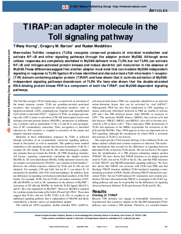 (PDF) TIRAP: an adapter molecule in the Toll signaling pathway