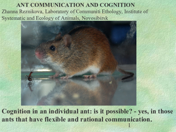 (PDF) ANT COMMUNICATION AND COGNITION