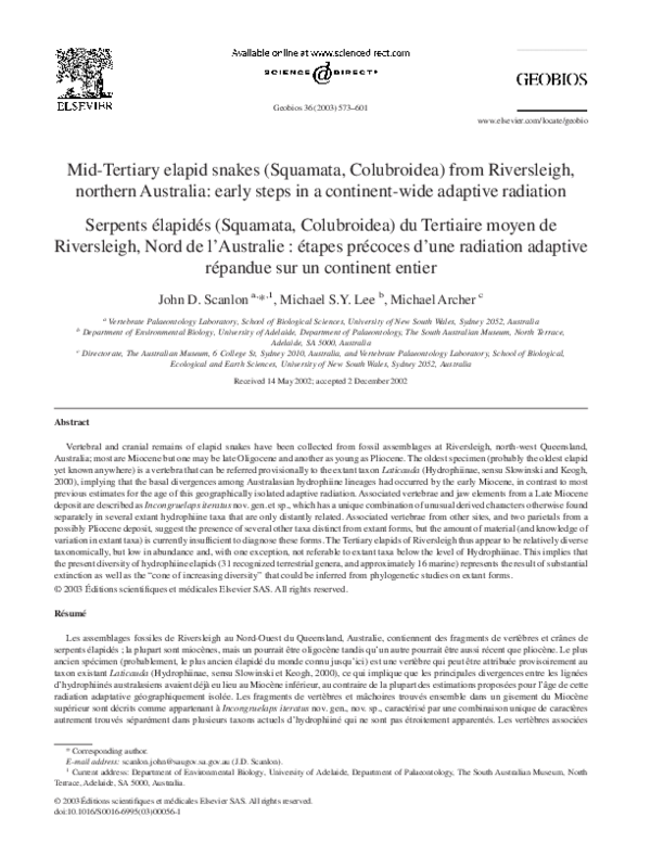 Mid-Tertiary elapid snakes (Squamata, Colubroidea) from Riversleigh ...