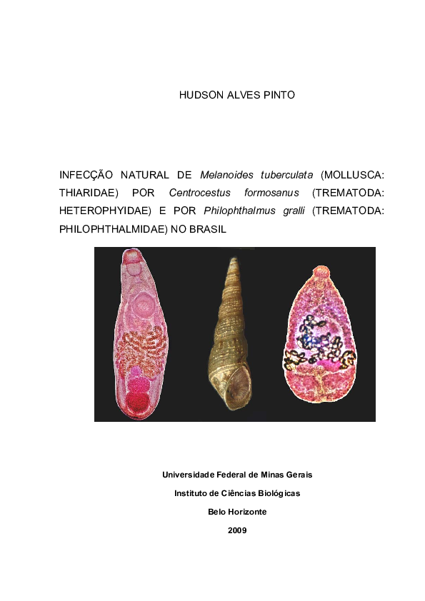 (PDF) Infeccao natural de Melanoides tuberculata (Mollusca: Thiaridae ...