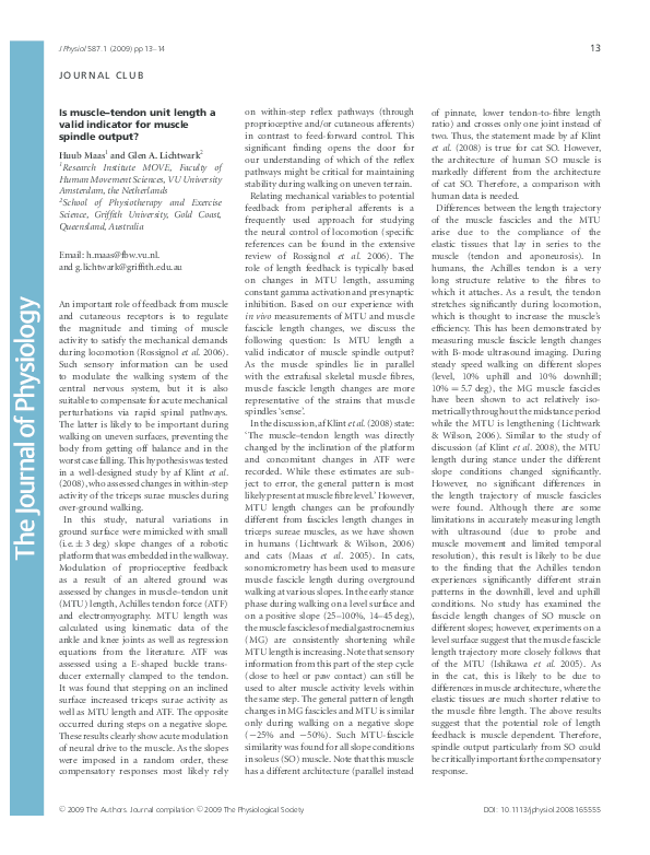 (PDF) Is muscle-tendon unit length a valid indicator for muscle spindle ...