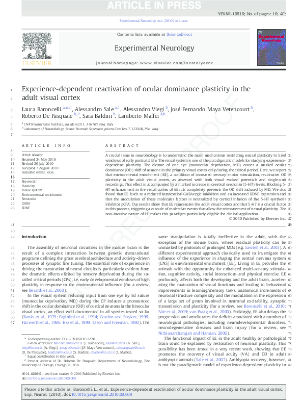 (PDF) Experience-dependent reactivation of ocular dominance plasticity ...