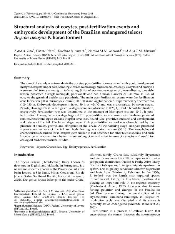 (PDF) Structural analysis of oocytes, post-fertilization events and ...