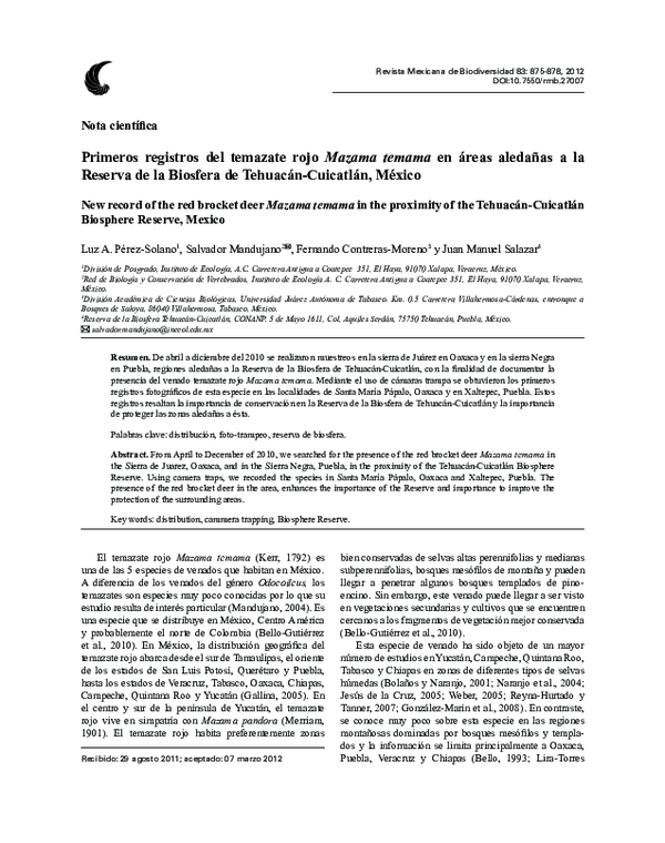 (PDF) Primeros registros del temazate rojo Mazama temama en áreas ...