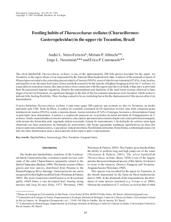 (PDF) Feeding habits of Thoracocharax stellatus (Characiformes ...