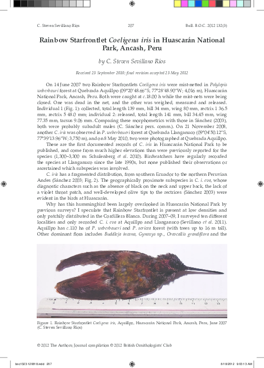 (PDF) Rainbow Starfrontlet Coeligena iris in Huascarán National Park ...