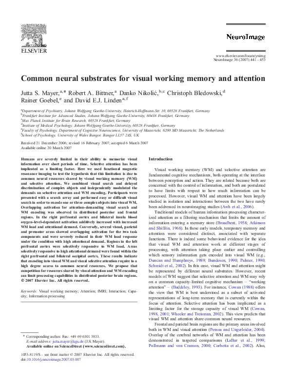 (PDF) Common neural substrates for visual working memory and attention