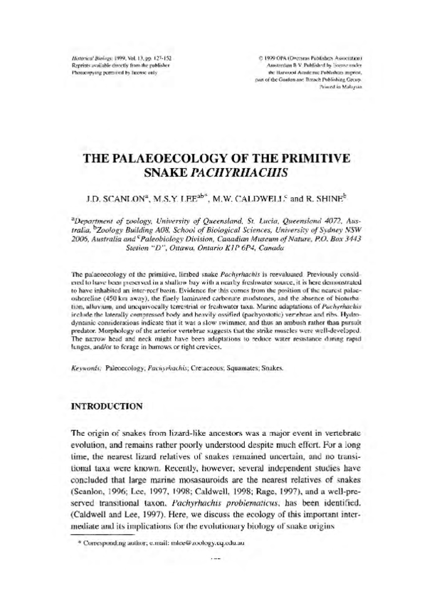The palaeoecology of the primitive snake Pachyrhachis