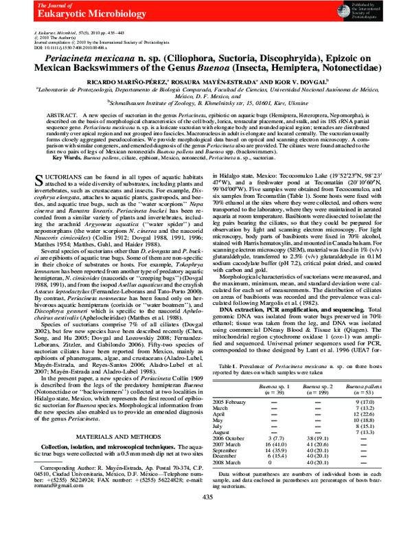 (PDF) Periacineta mexicana n. sp.(Ciliophora, Suctoria, Discophryida ...