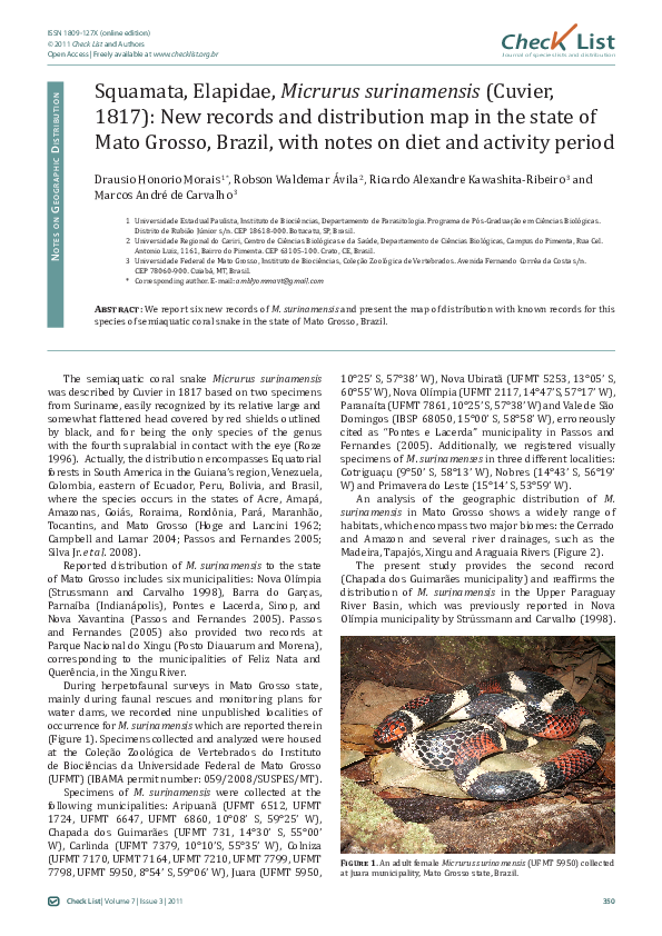 (PDF) Squamata, Elapidae, Micrurus surinamensis (Cuvier, 1817): New ...