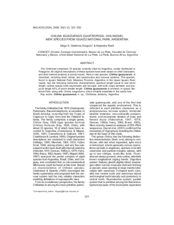 (PDF) Chilina iguazuensis (Gastropoda: Chilinidae), New Species From ...