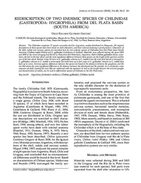 (PDF) Redescription of two endemic species of Chilinidae (Gastropoda ...