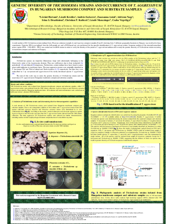 (PDF) GENETIC DIVERSITY OF TRICHODERMA STRAINS AND OCCURRENCE OF T ...