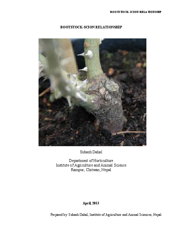 (PDF) ROOTSTOCK-SCION RELATIONSHIP IN FRUIT CROPS