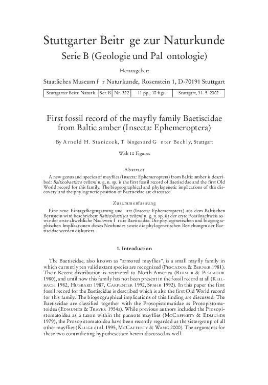 (PDF) First fossil record of the mayfly family Baetiscidae from Baltic ...