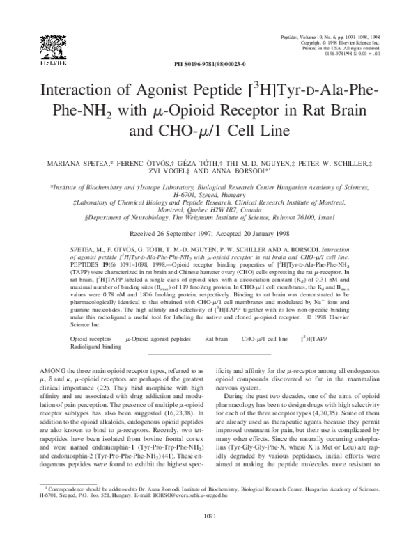 (PDF) Interaction of agonist peptide [ 3H]Tyr d-Ala-Phe-Phe-NH 2 with μ ...