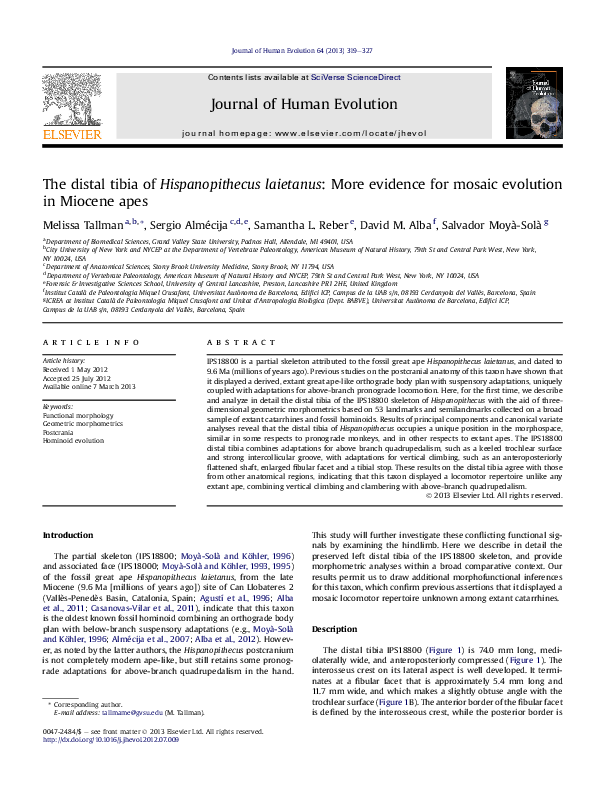 (PDF) The distal tibia of Hispanopithecus laeitanus: more evidence for ...