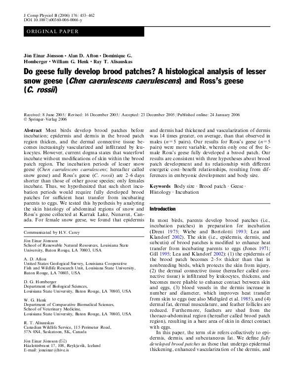 (PDF) Do geese fully develop brood patches? A histological analysis of ...