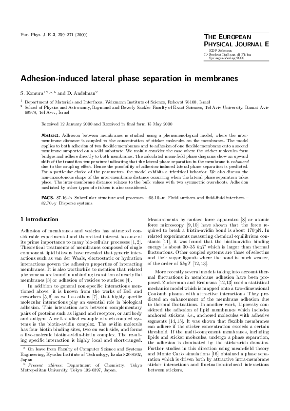 (PDF) Adhesion-induced lateral phase separation in membranes