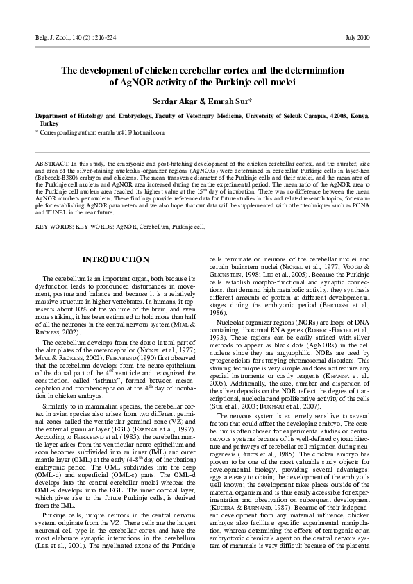 (PDF) morphological development