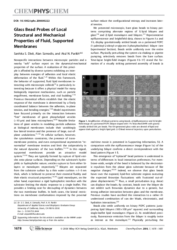 (PDF) Glass Bead Probes of Local Structural and Mechanical Properties ...