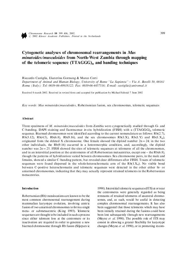 (PDF) Cytogenetic analyses of chromosomal rearrangements in Mus ...